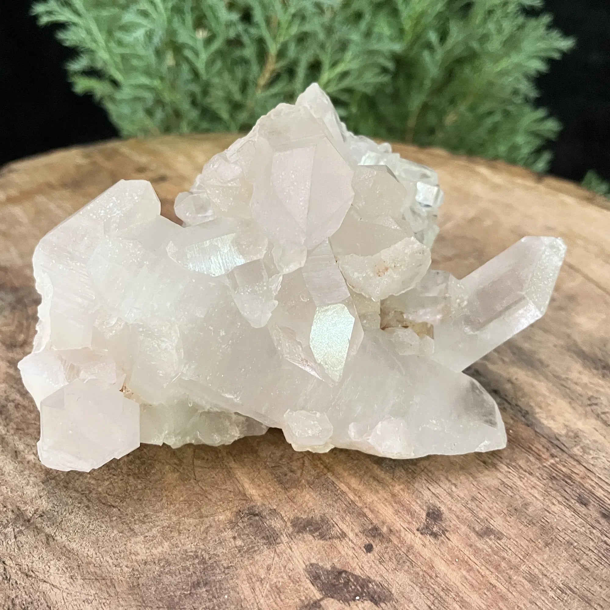 Natural White Quartz Cluster 550g